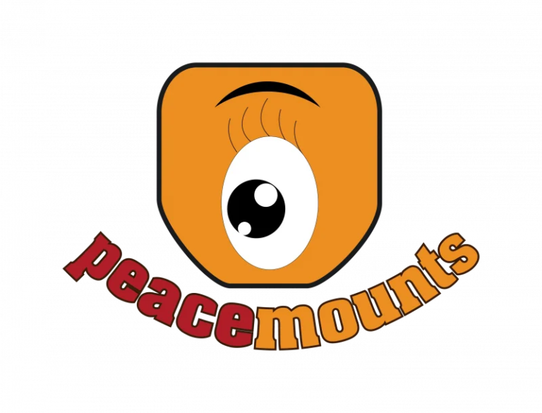Best 12 Chinese TV Mount Manufacturing Companies You Should Know - Raxmount